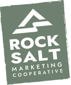 #1 Utah Digital Marketing Agency | Rock Salt Marketing